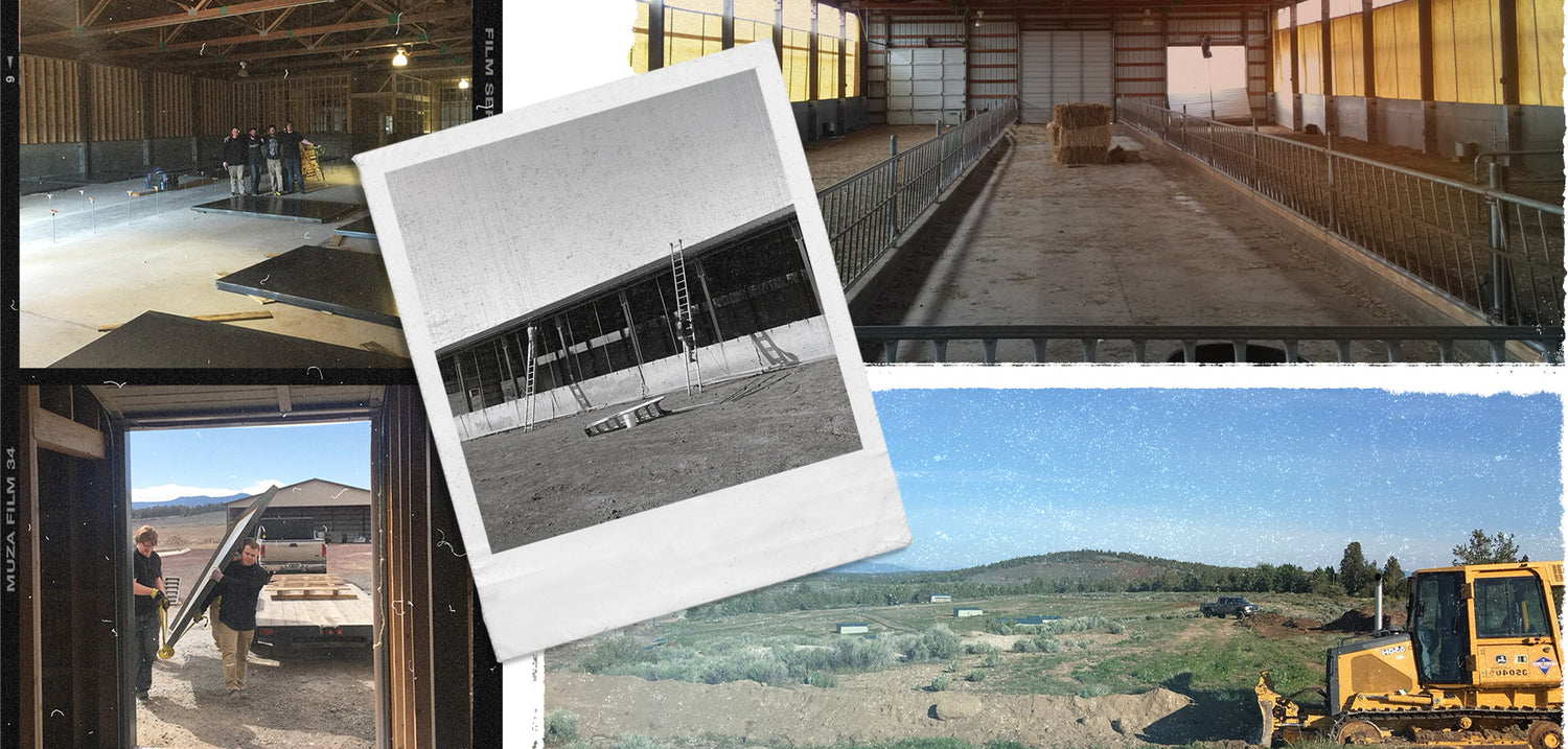 Our Story – Oregrown